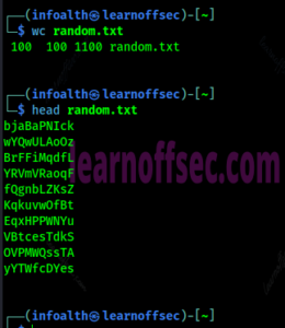 top 50 most used Linux commands 2023 - Linux 101